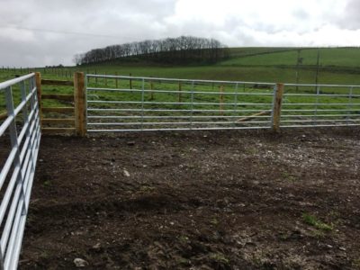 M Fence Scotland Agricultural & Forestry Fencing Contractors - Highlands