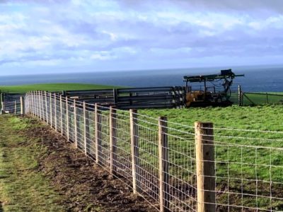 M Fence Scotland Agricultural & Forestry Fencing Contractors - Highlands